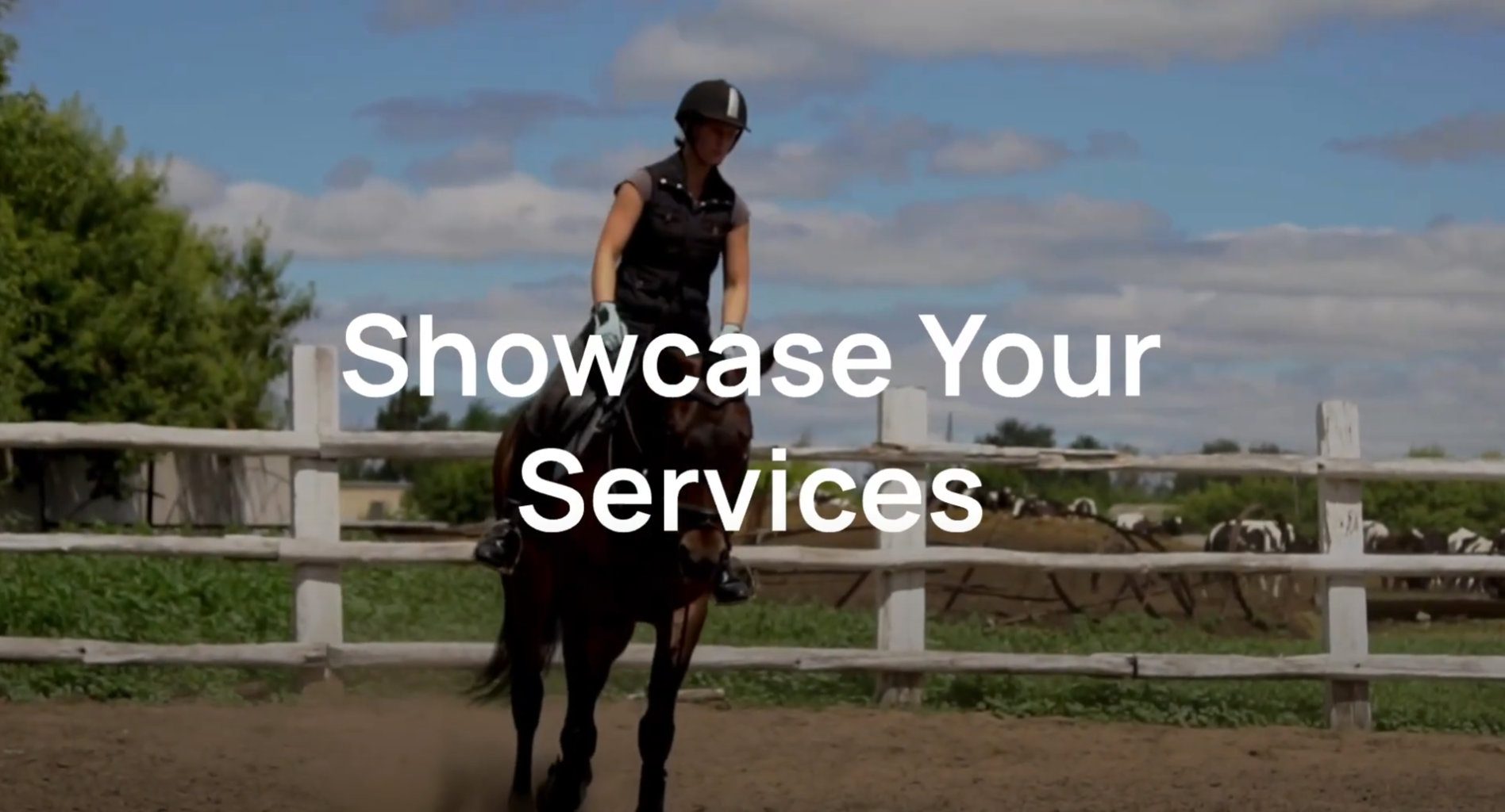 Equestrian Coaches on Open Equine Video - Open Equine