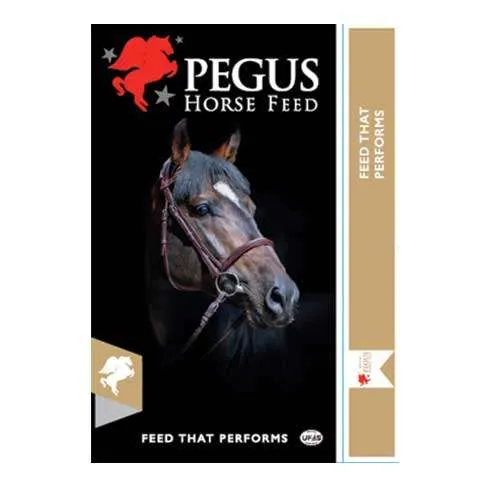 PEGUS 25% SUPPLEMENT - Open Equine