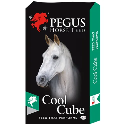 Pegus Cool Cube - Open Equine
