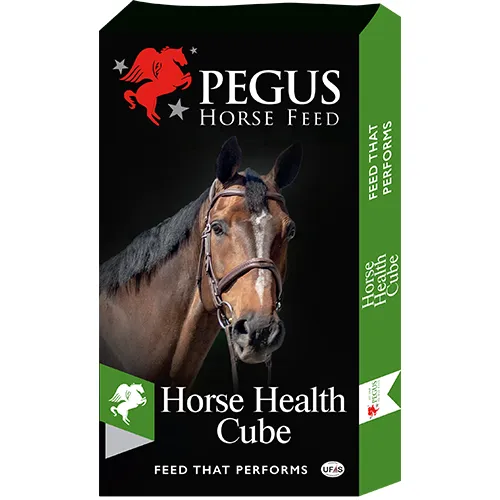 Pegus Horse Health Cube - Open Equine